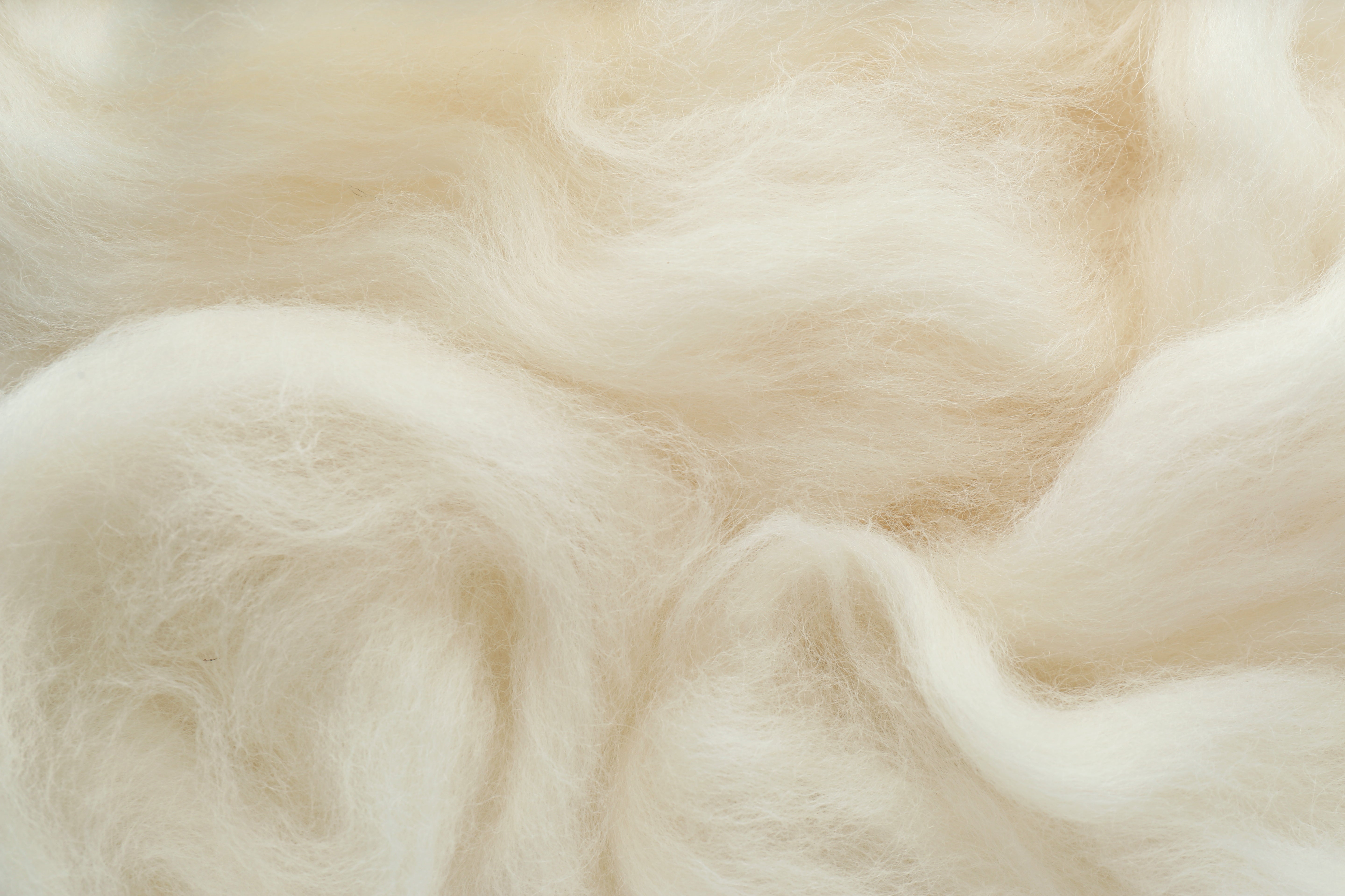 Wool Collection – Whisper Organics